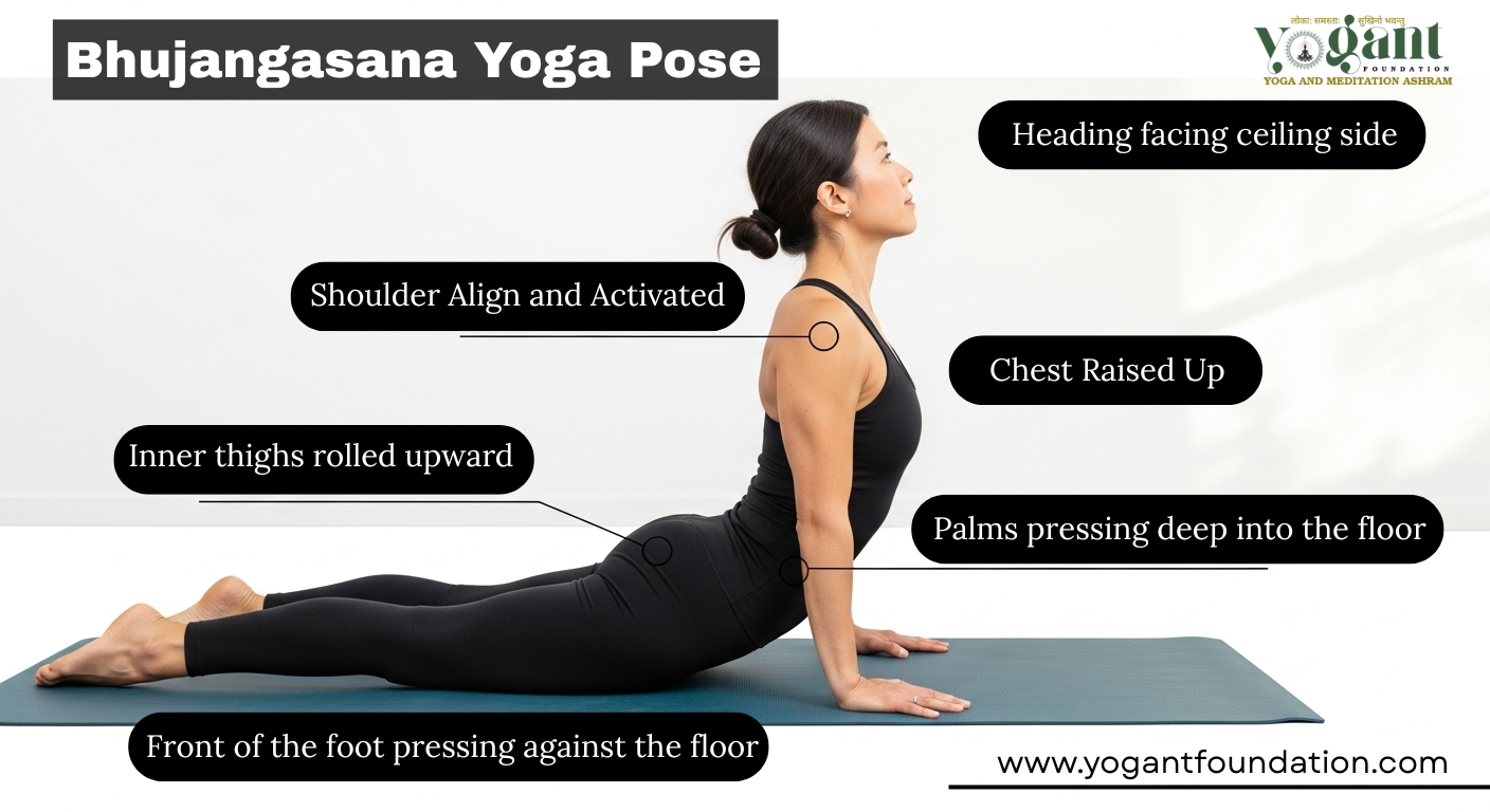 Bhujangasana Yoga Pose – How to Do Cobra Pose Correctly
