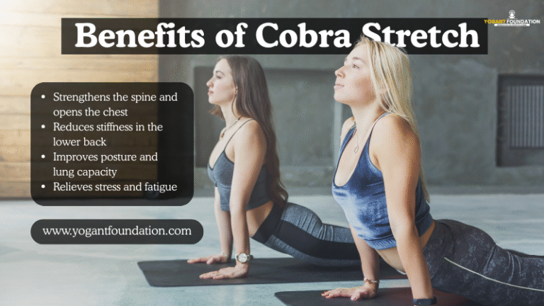 Master the Cobra Stretch for Ultimate Spine Mobility