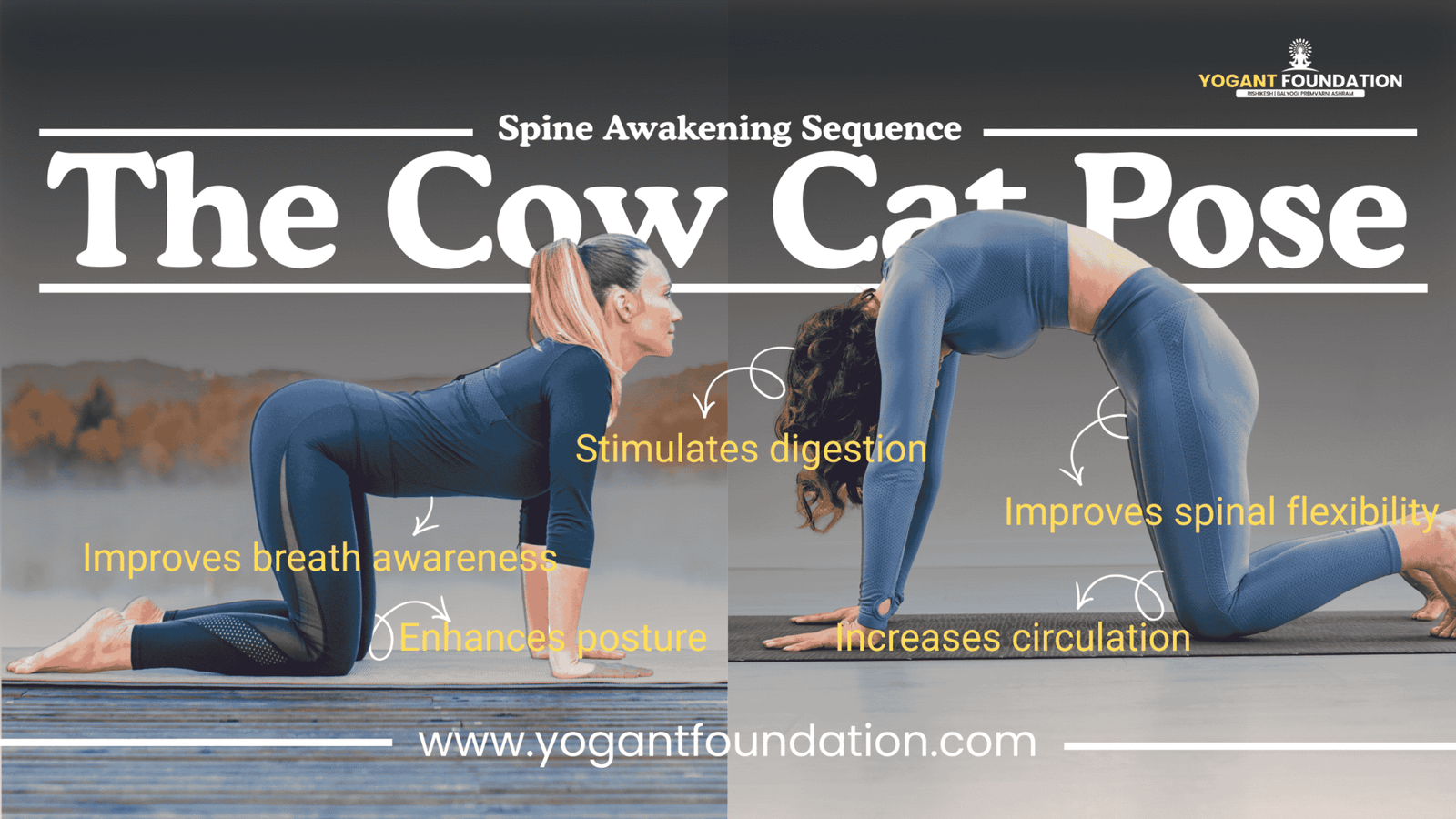 Transformative Guide to Cat and Cow Pose: Unlock Your Spine